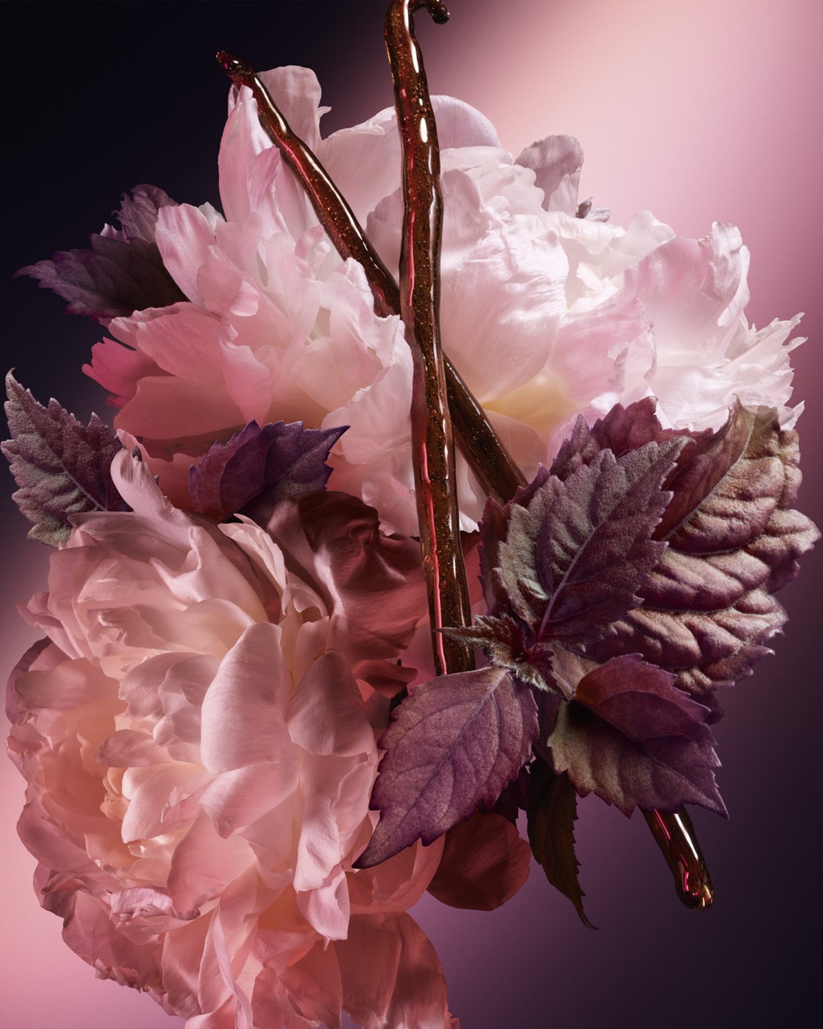 Carolina Herrera | Official Website