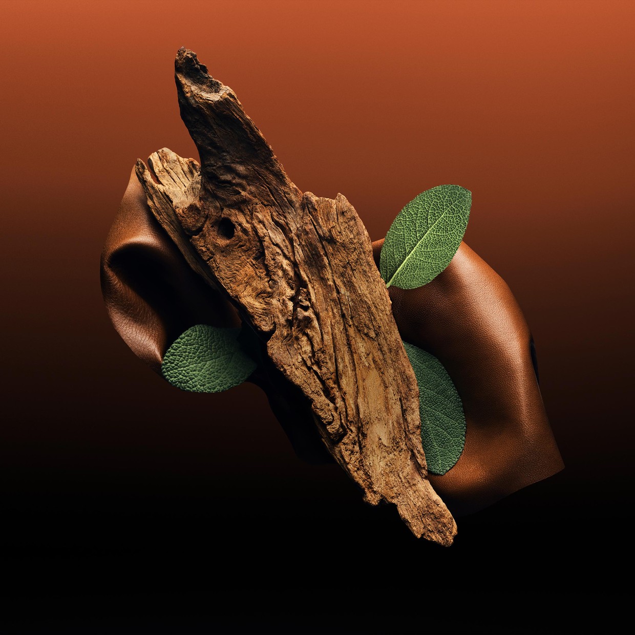 Carolina Herrera | Official Website