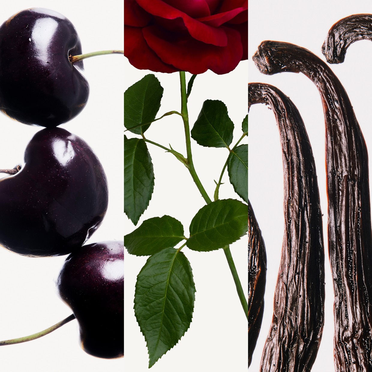 Carolina Herrera | Official Website