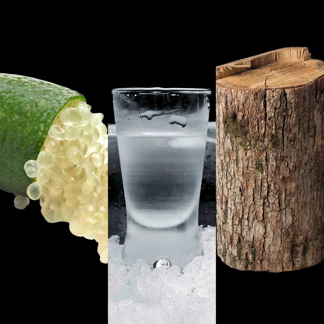 Carolina Herrera | Official Website