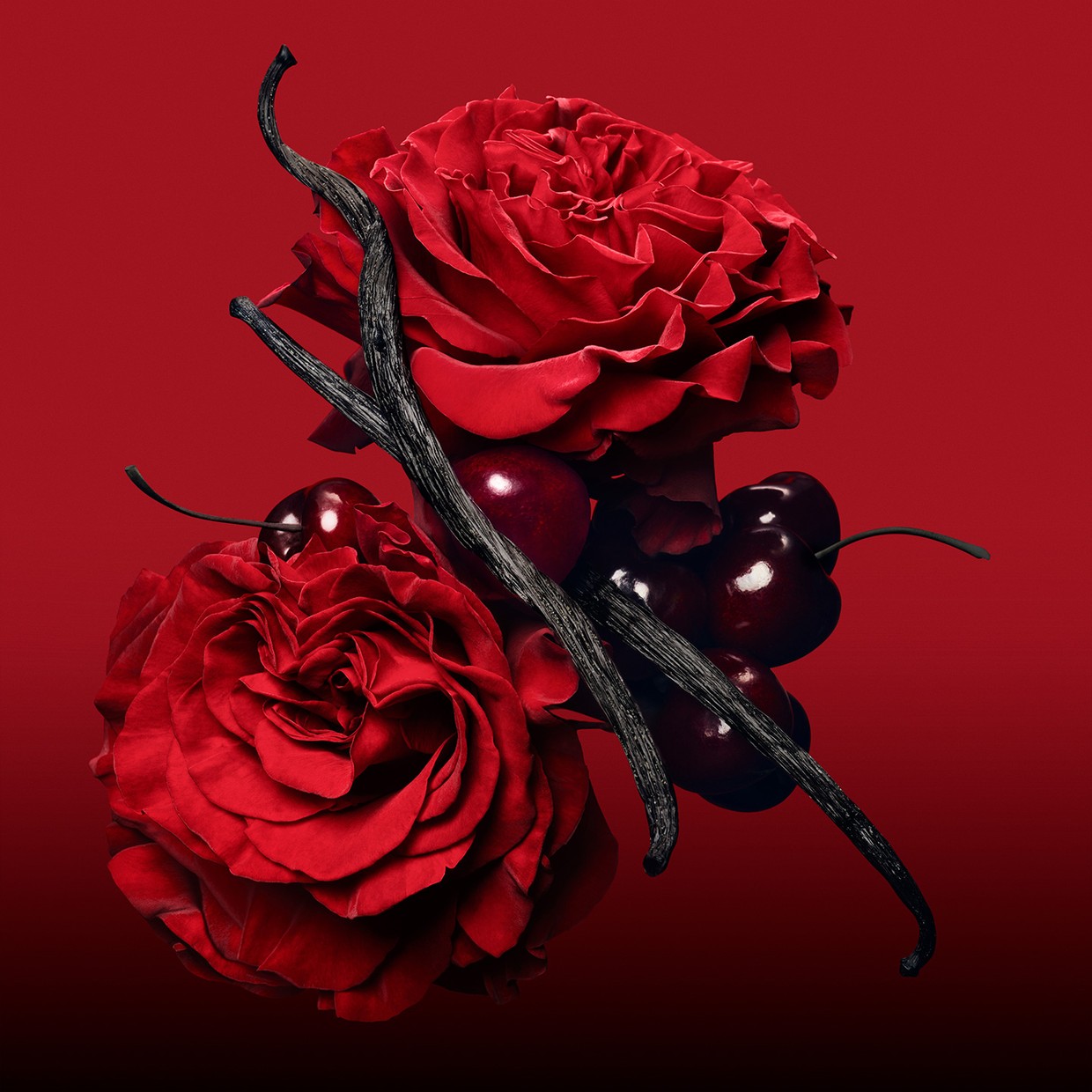 Carolina Herrera | Official Website