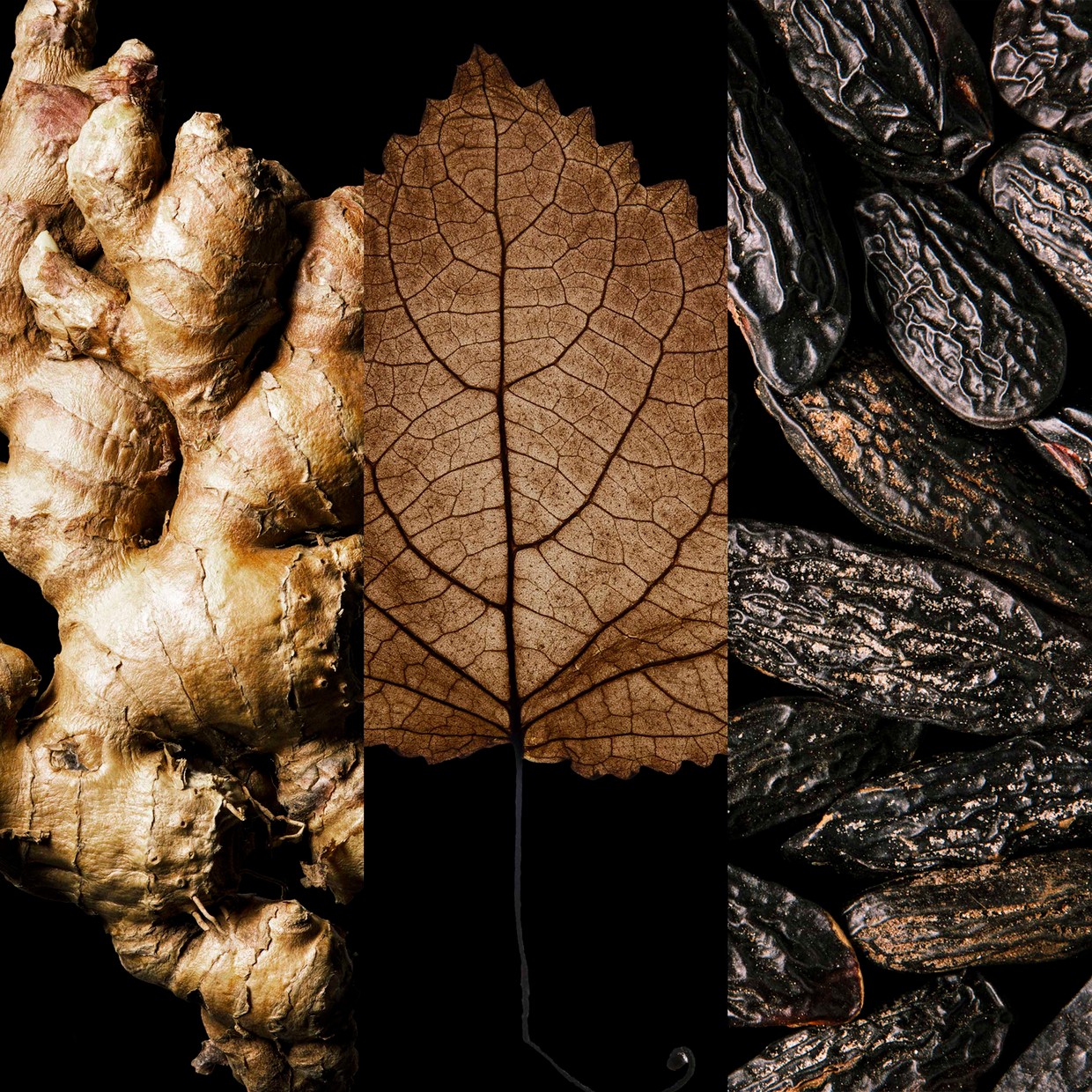 Carolina Herrera | Official Website