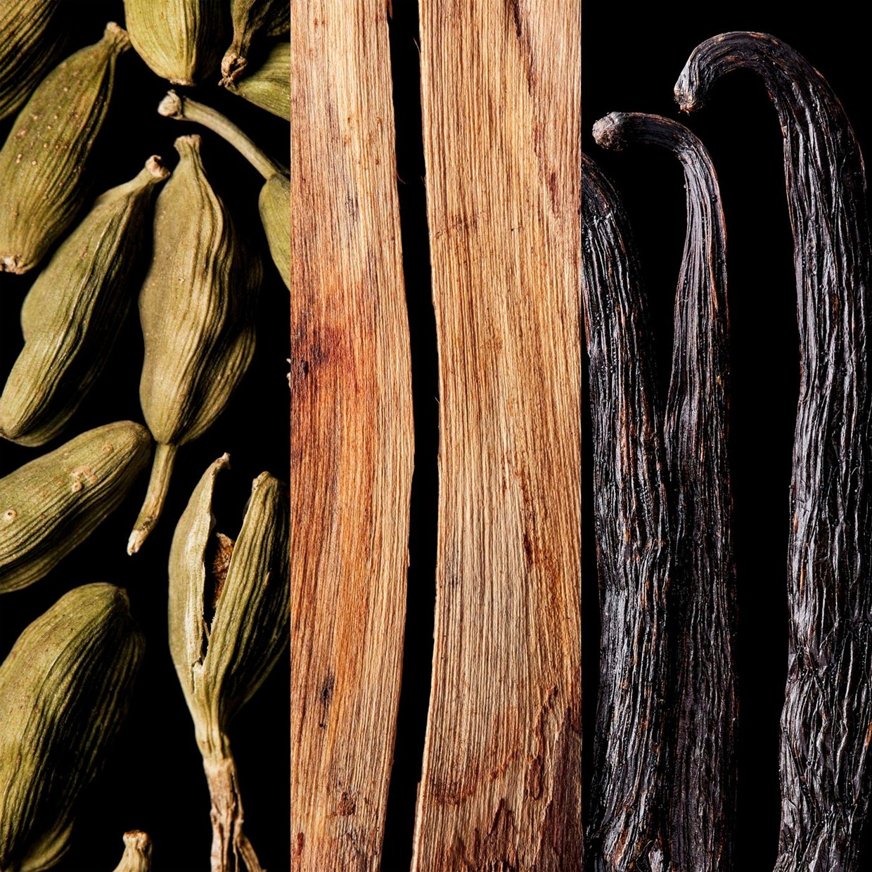 Carolina Herrera | Official Website