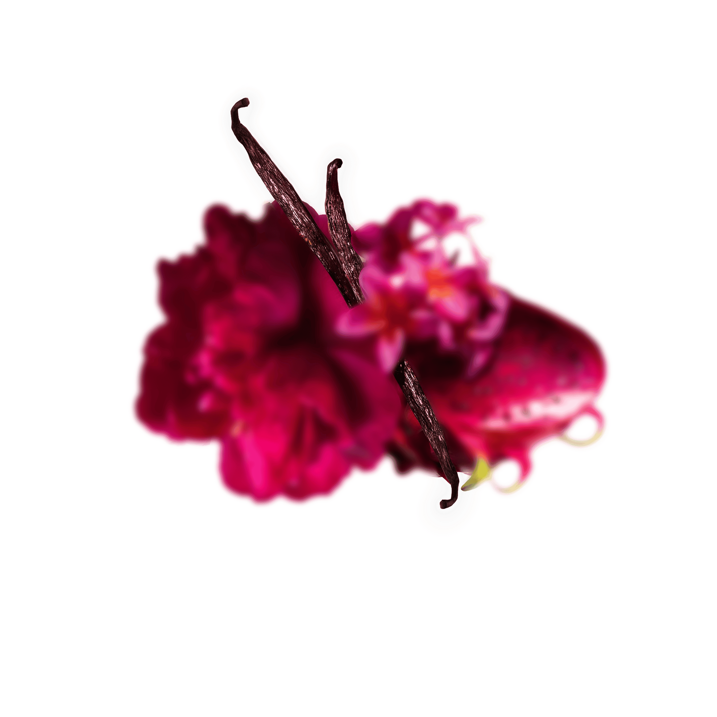 Carolina Herrera | Official Website