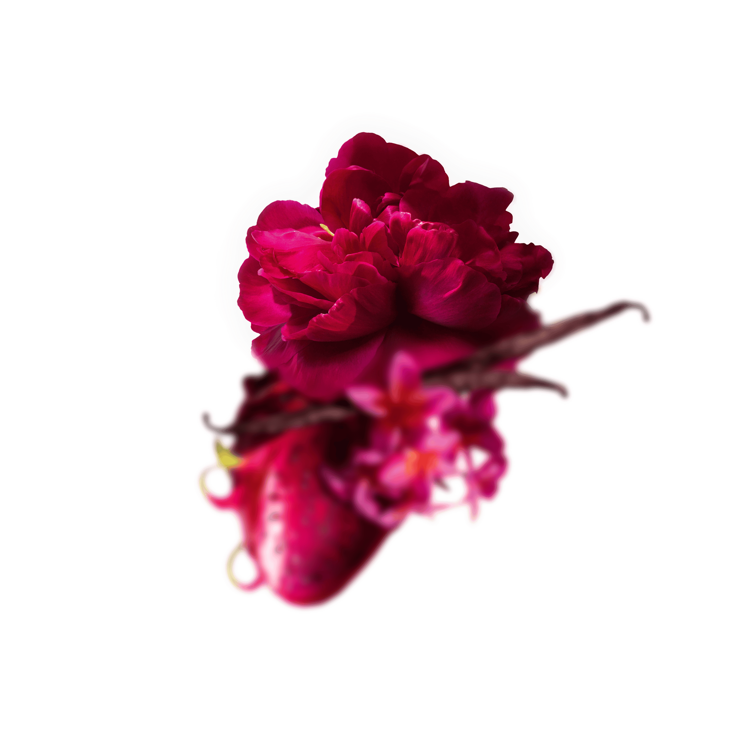 Carolina Herrera | Official Website