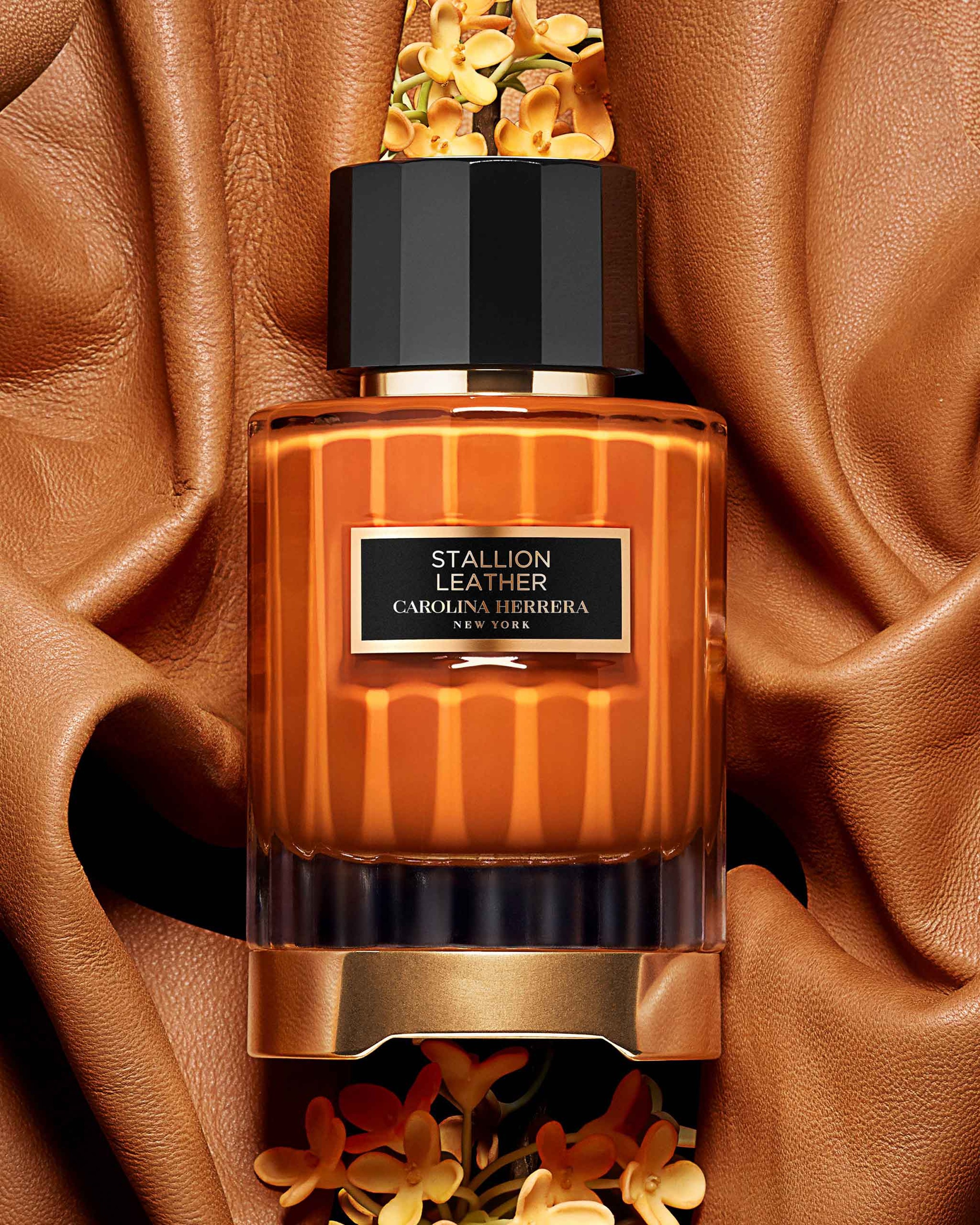 Carolina Herrera | Official Website