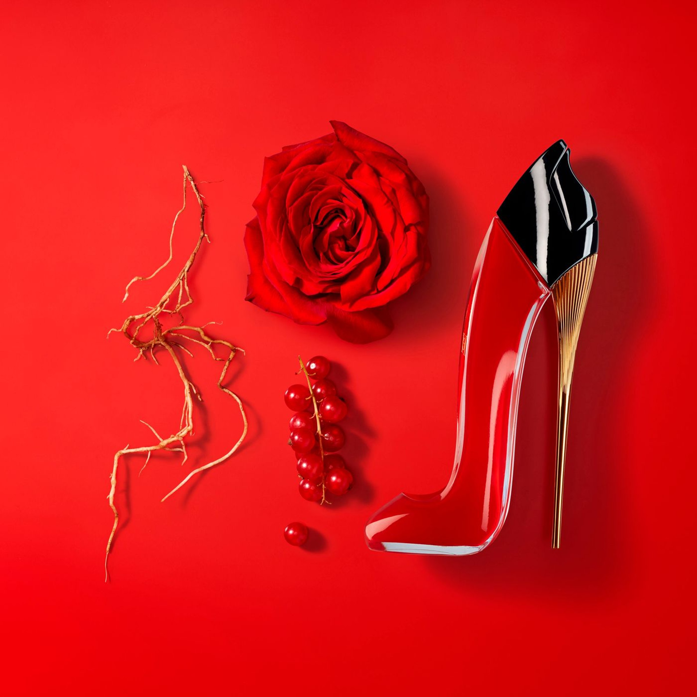 Carolina Herrera | Official Website